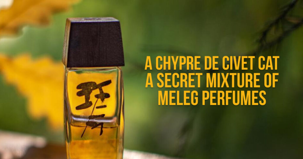 A Chypre De Civet Cat: A Secret Mixture Of Meleg Perfumes